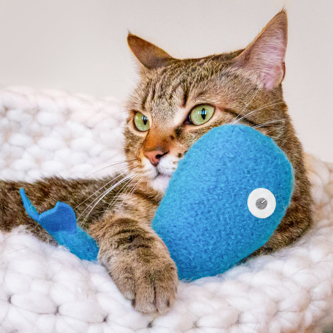 Cat Toys. Organic Catnip. Catnip Whale. Pool Blue. Blue Cat Toy. Catnip ...