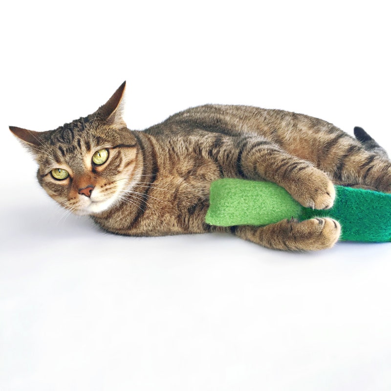 Cat Kicker - Etsy