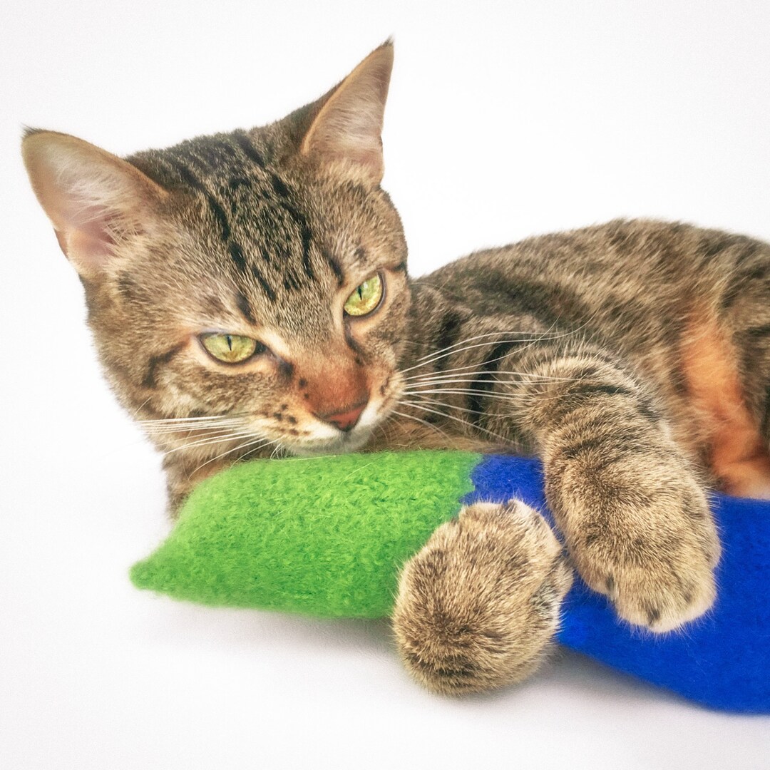 Cat Toy. Peapod/sapphire. Organic Catnip. Catnip Toy. Wool Cat Toy. Cat ...