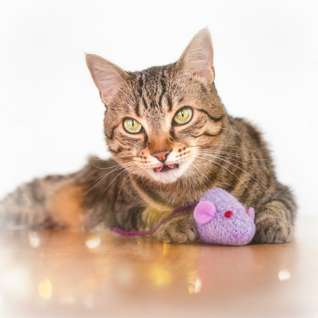 Catnip Toy. Lilac Mouse. Catnip Mouse. Purple Cat Toy. Organic - Etsy