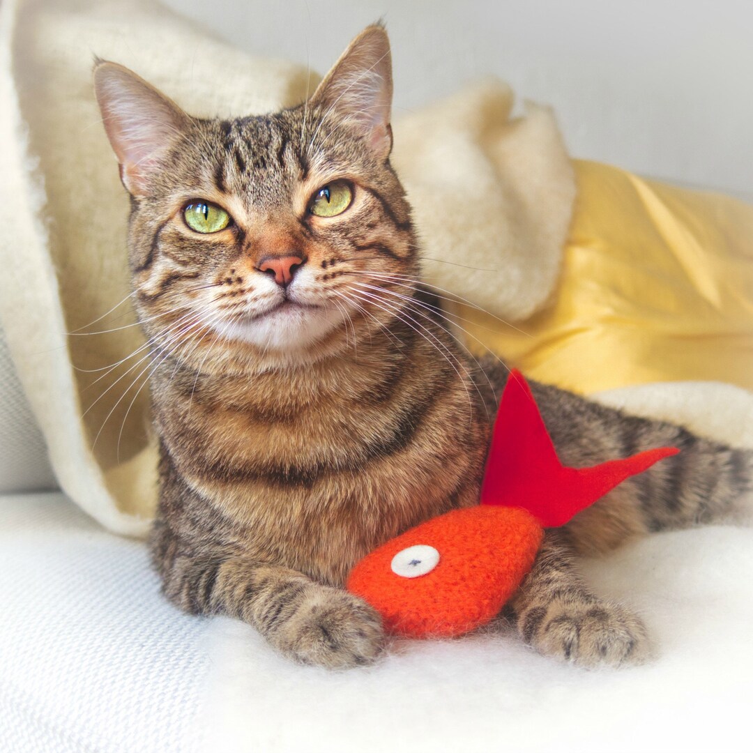 Organic Catnip Fish Toy: Orange and Red Felted Wool Cat Kicker ...