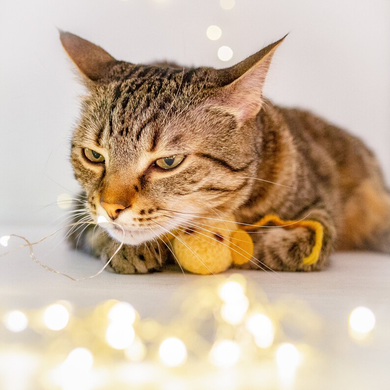 Catnip Toy. Custard Mouse. Catnip Mouse. Yellow Cat Toy. - Etsy