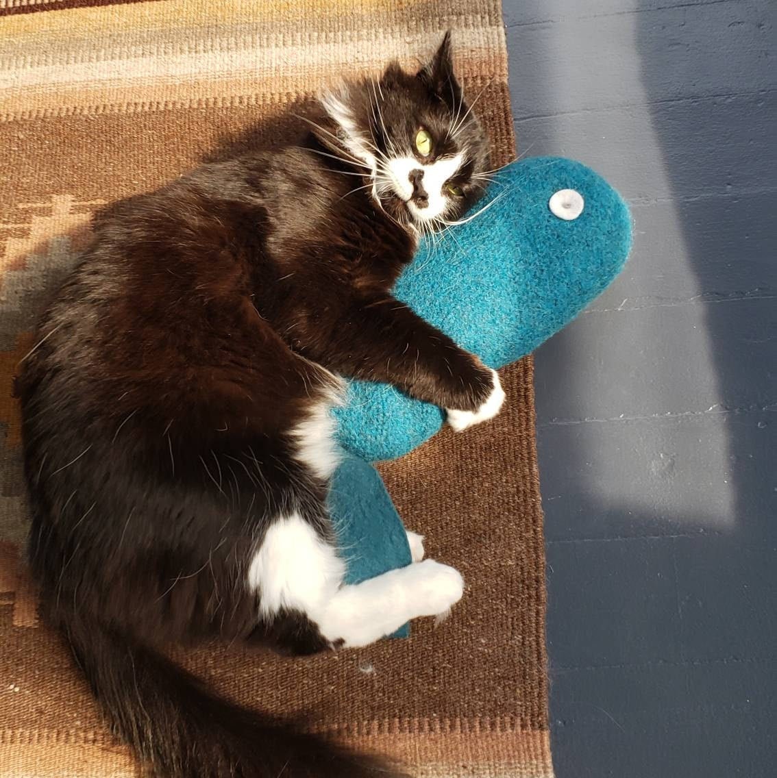 Jumbo Catnip Felted Wool Fish. Cat Toys. Teal Blue Fish. - Etsy