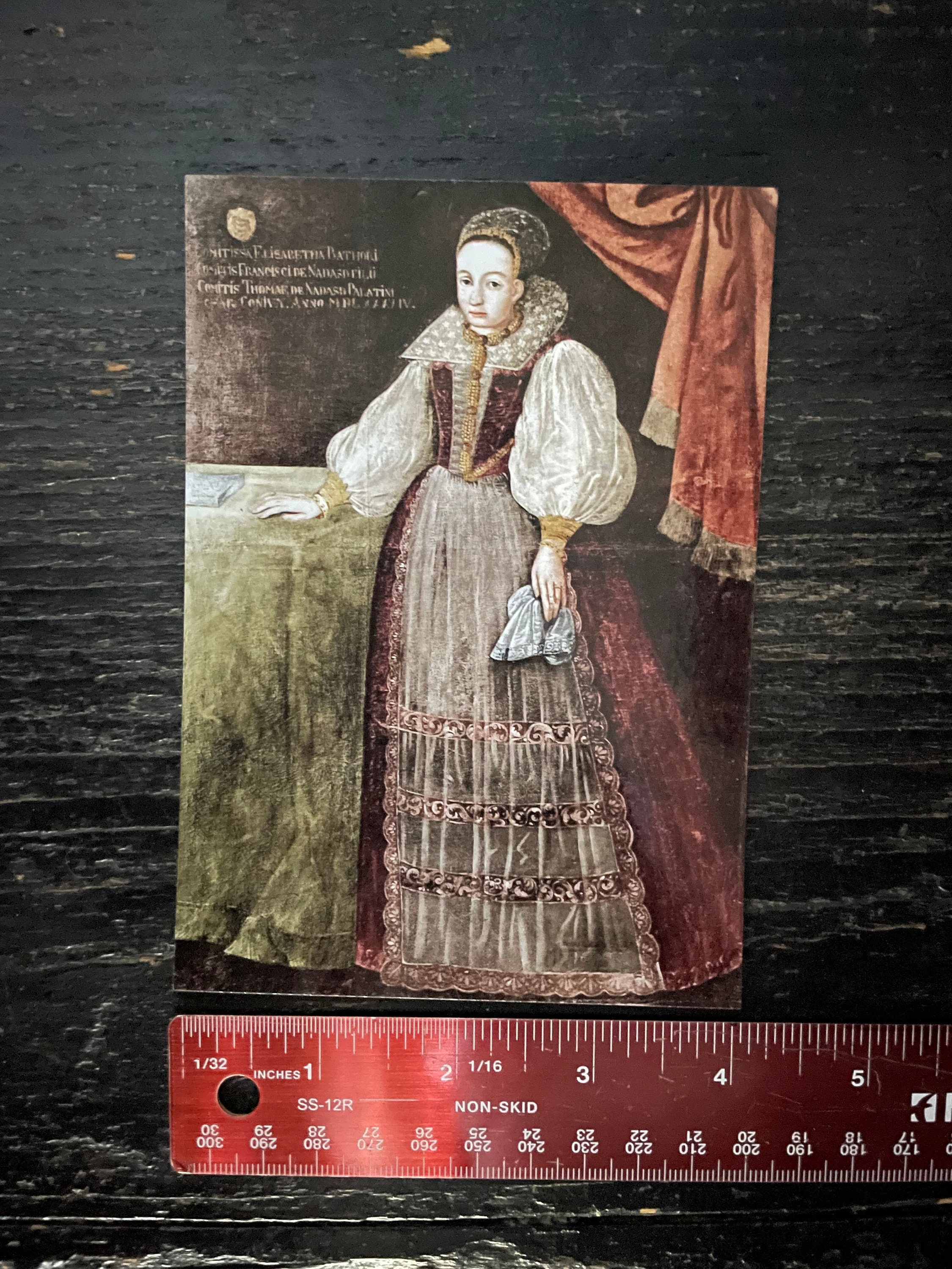 Elizabeth Bathory Postcard, Portrait Card, Blood Countess Elizabeth ...
