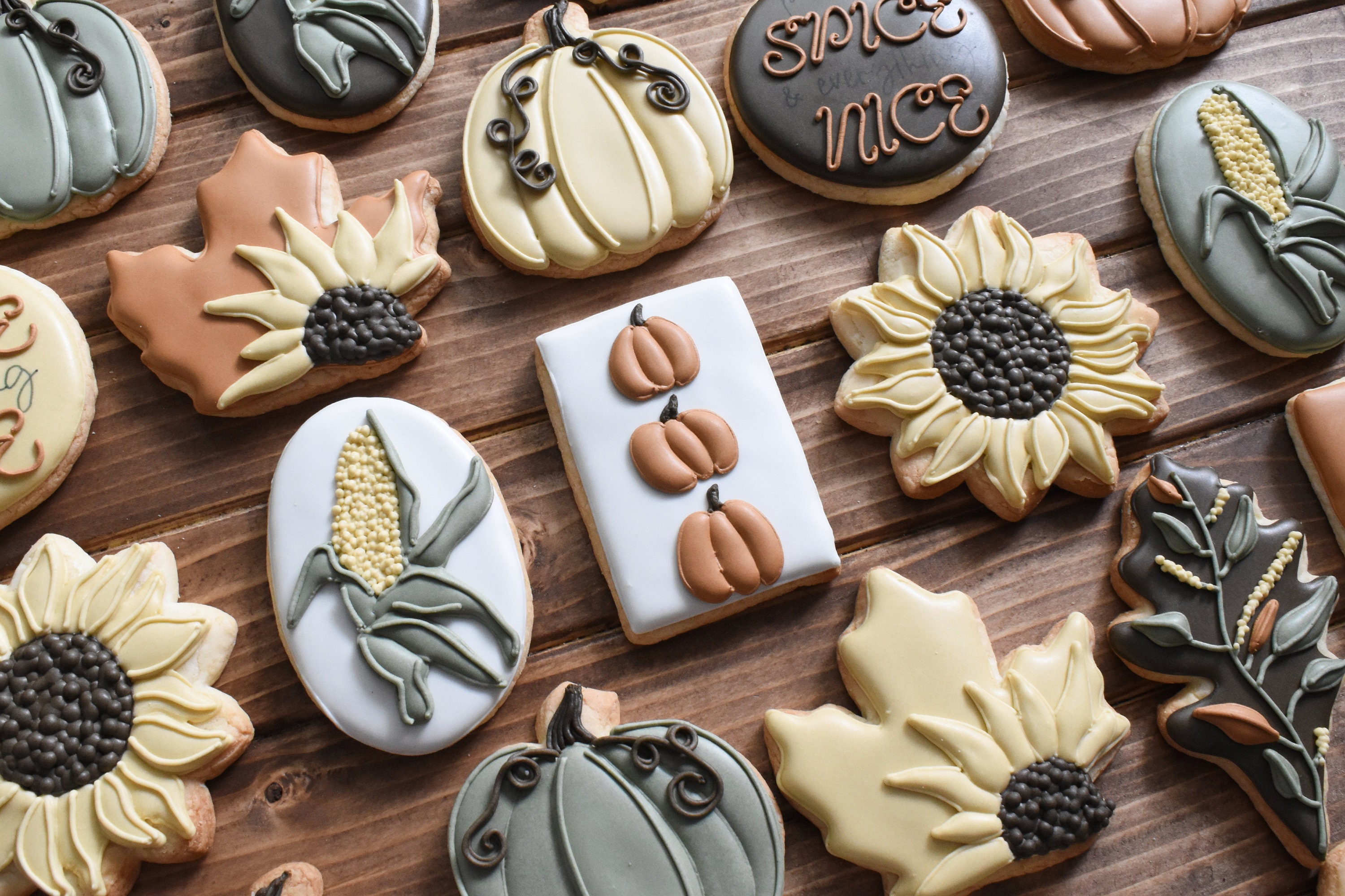Fall Sugar Cookies