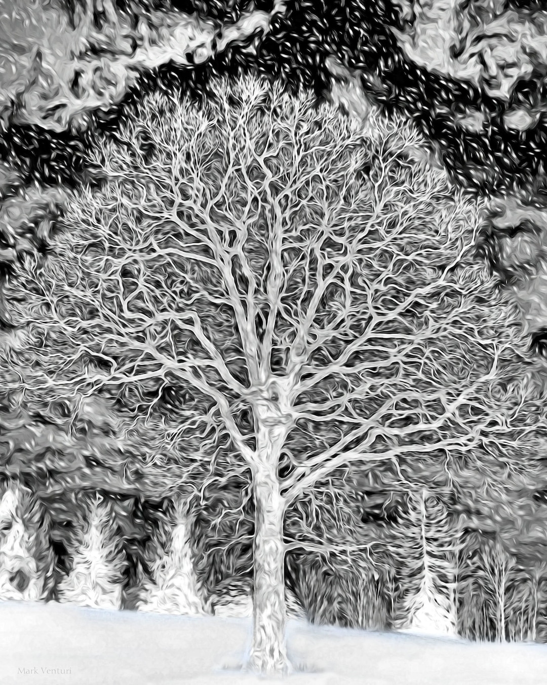 The Winter Tree Print, Winter Snowstorm Print, Winter Night Print ...