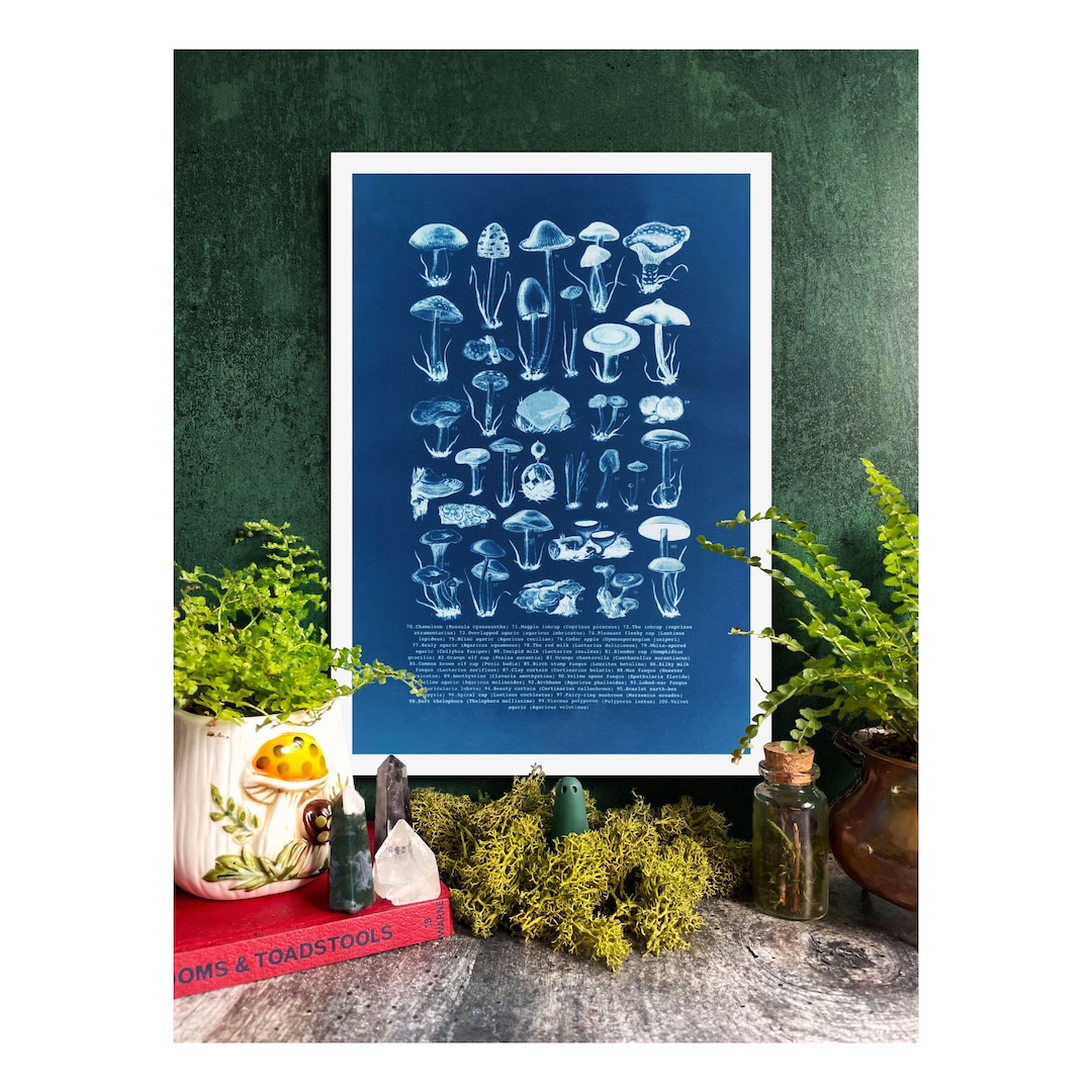 Toadstool Diagram Cyanotype Art Print, Vintage Style Mushroom ...