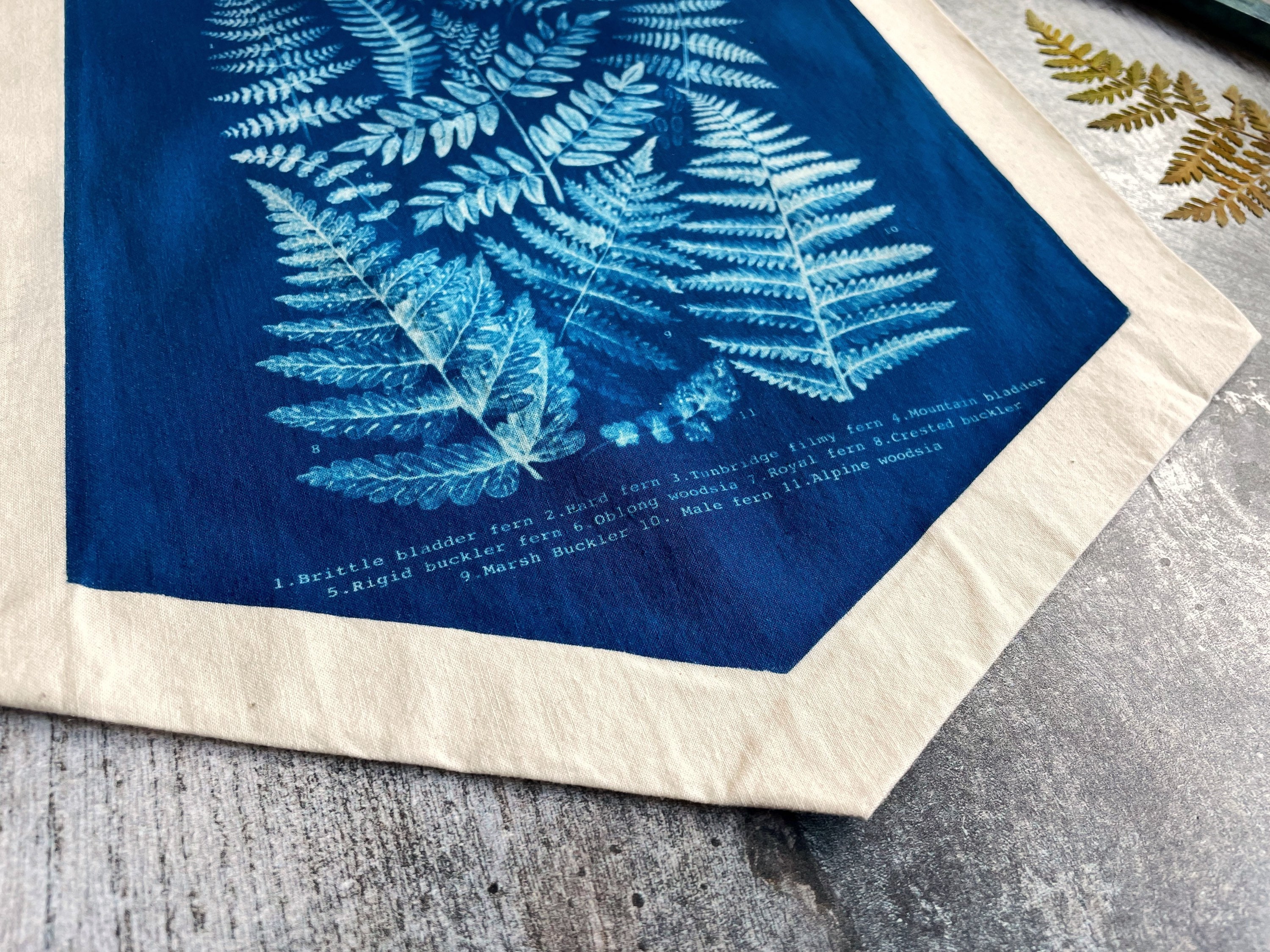 Fern Identification Chart Cyanotype Wall Banner Vintage Style | Etsy