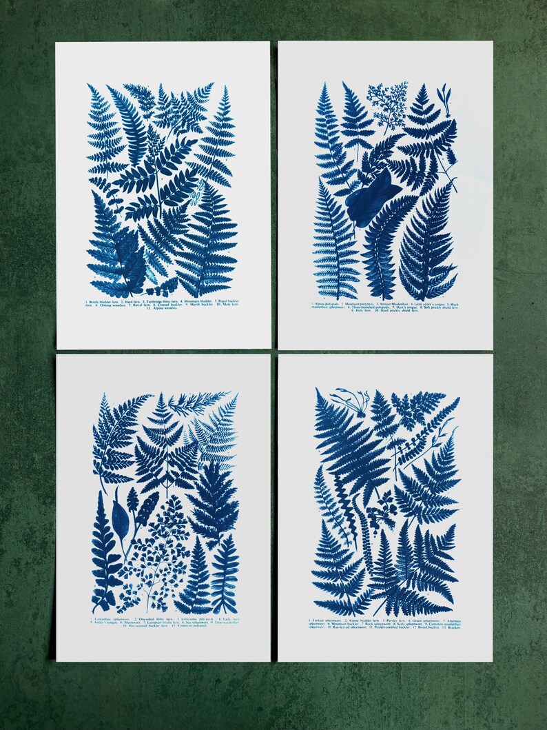 Botanical Fern Cyanotype Art Print Vintage Style Natural - Etsy