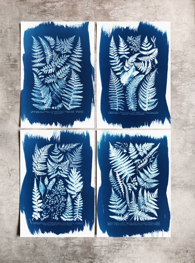 Botanical Fern Cyanotype Art Print Vintage Style Natural - Etsy