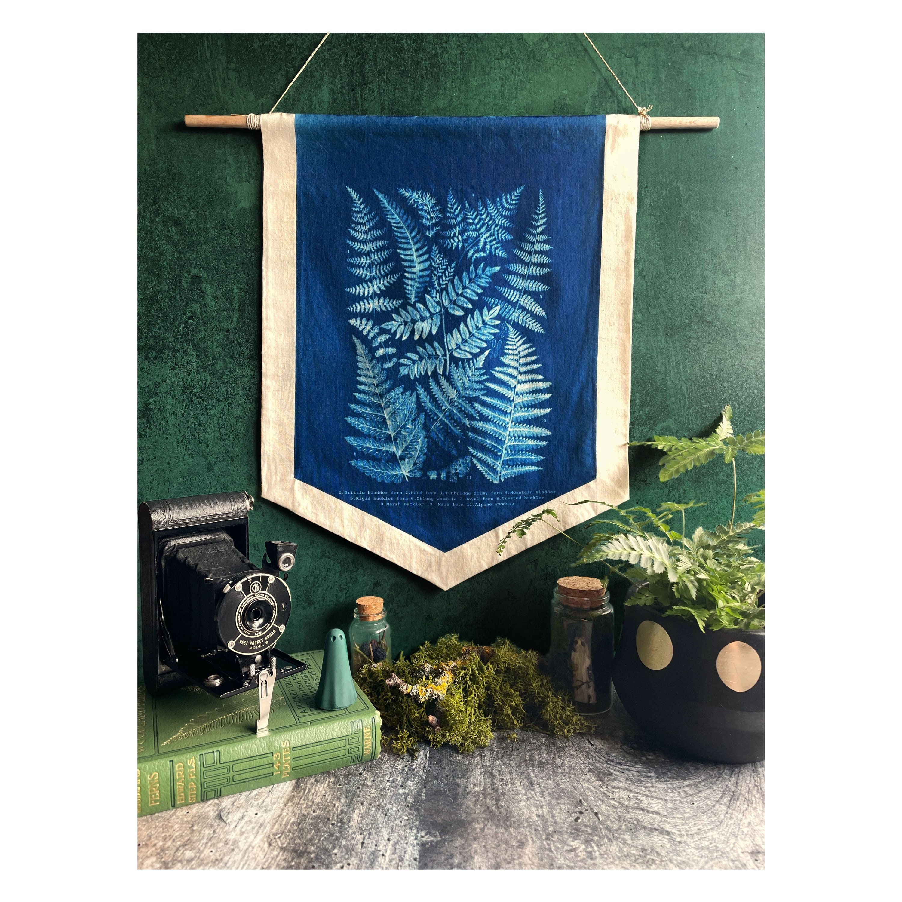 Fern Identification Chart Cyanotype Wall Banner Vintage Style - Etsy