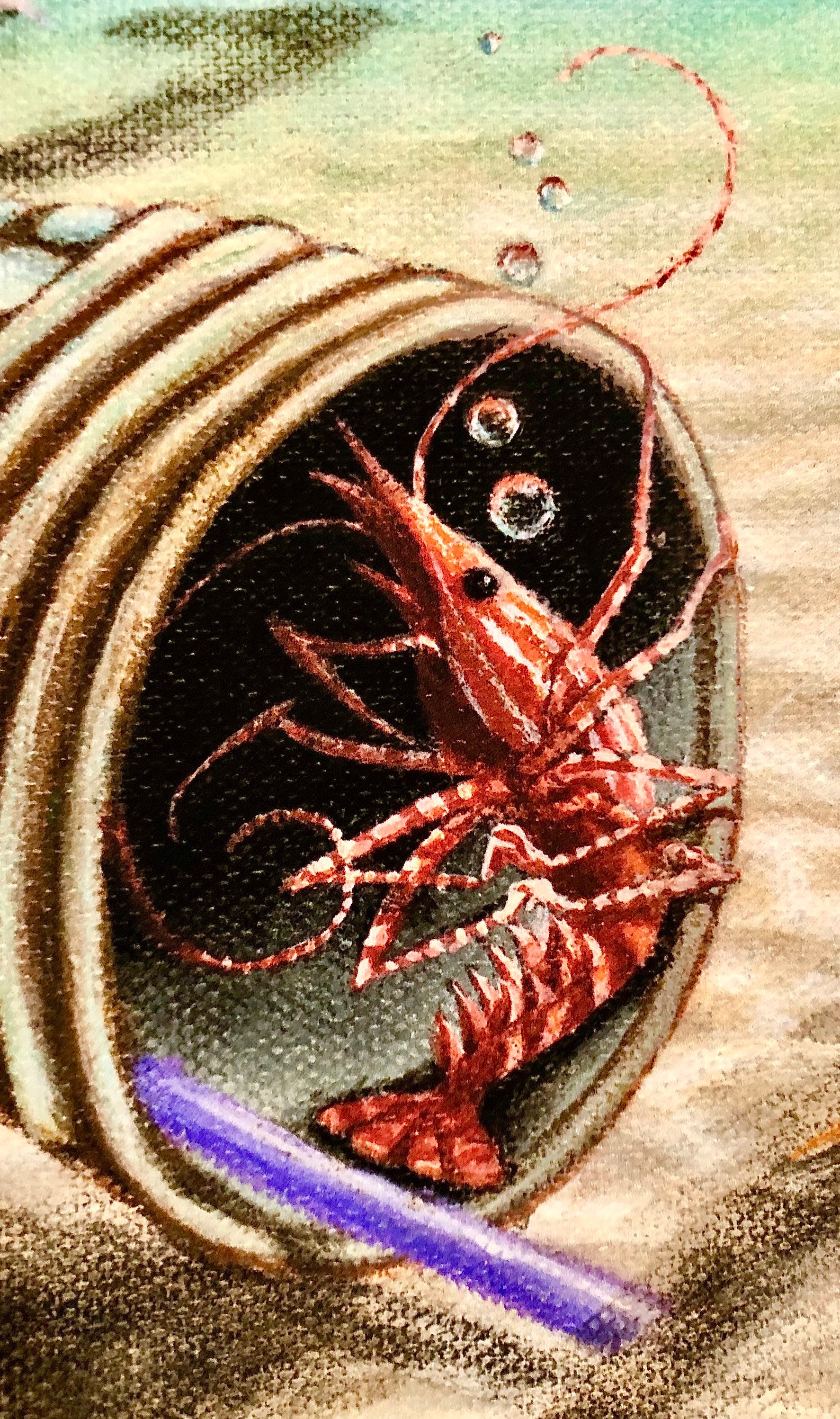11”x17" PAPER PRINT "shrimp Cocktail" Flamingo Shrimp Tiki Bob Mug ...