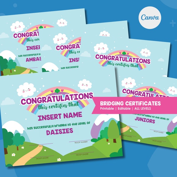 Junior Bridging Certificate - Etsy