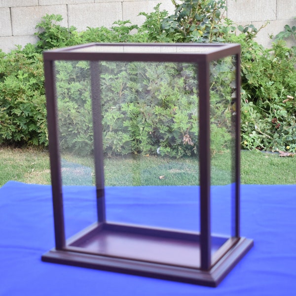 Glass Display Case - Etsy