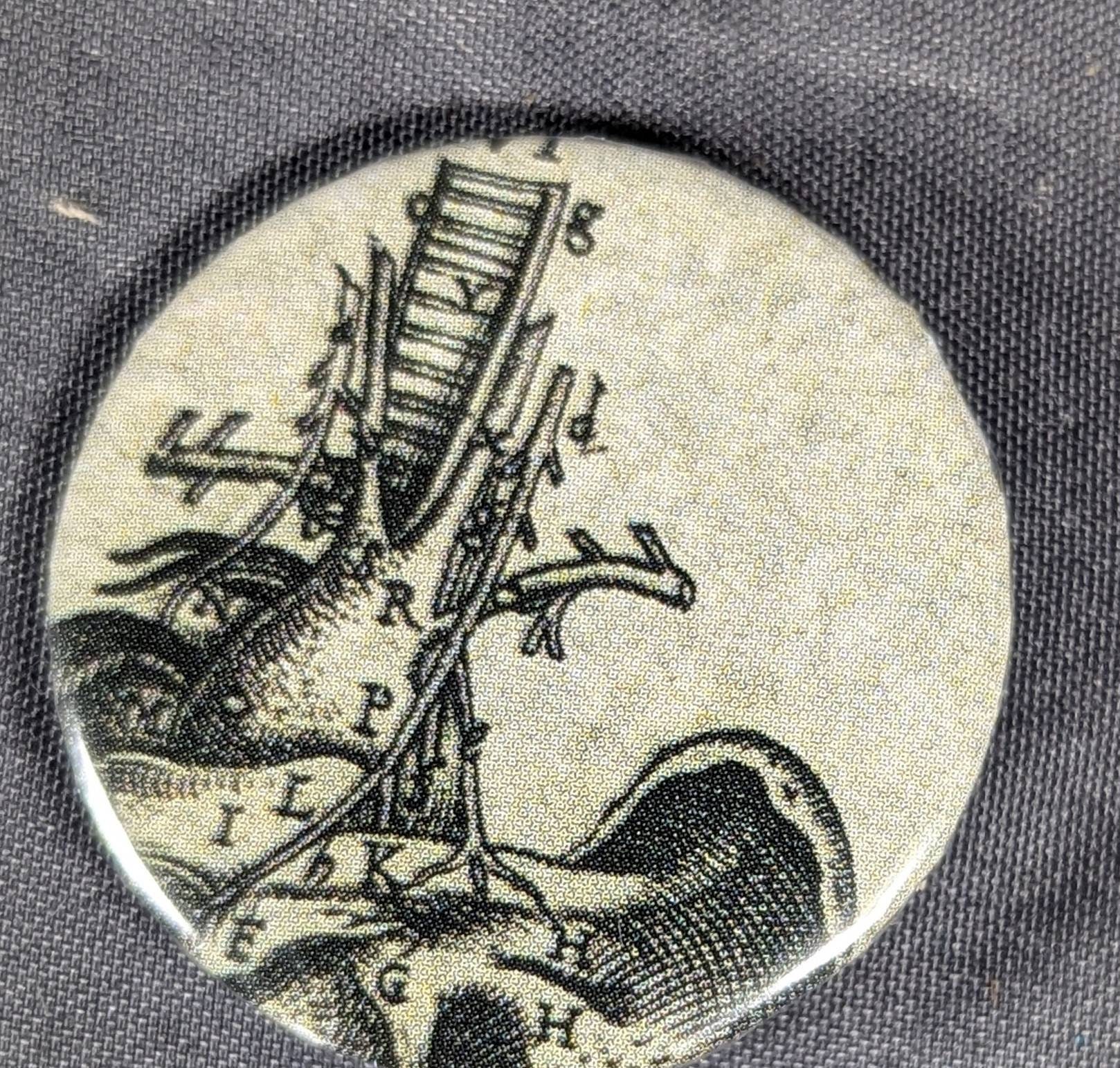 1.25" Anatomy Button - Etsy