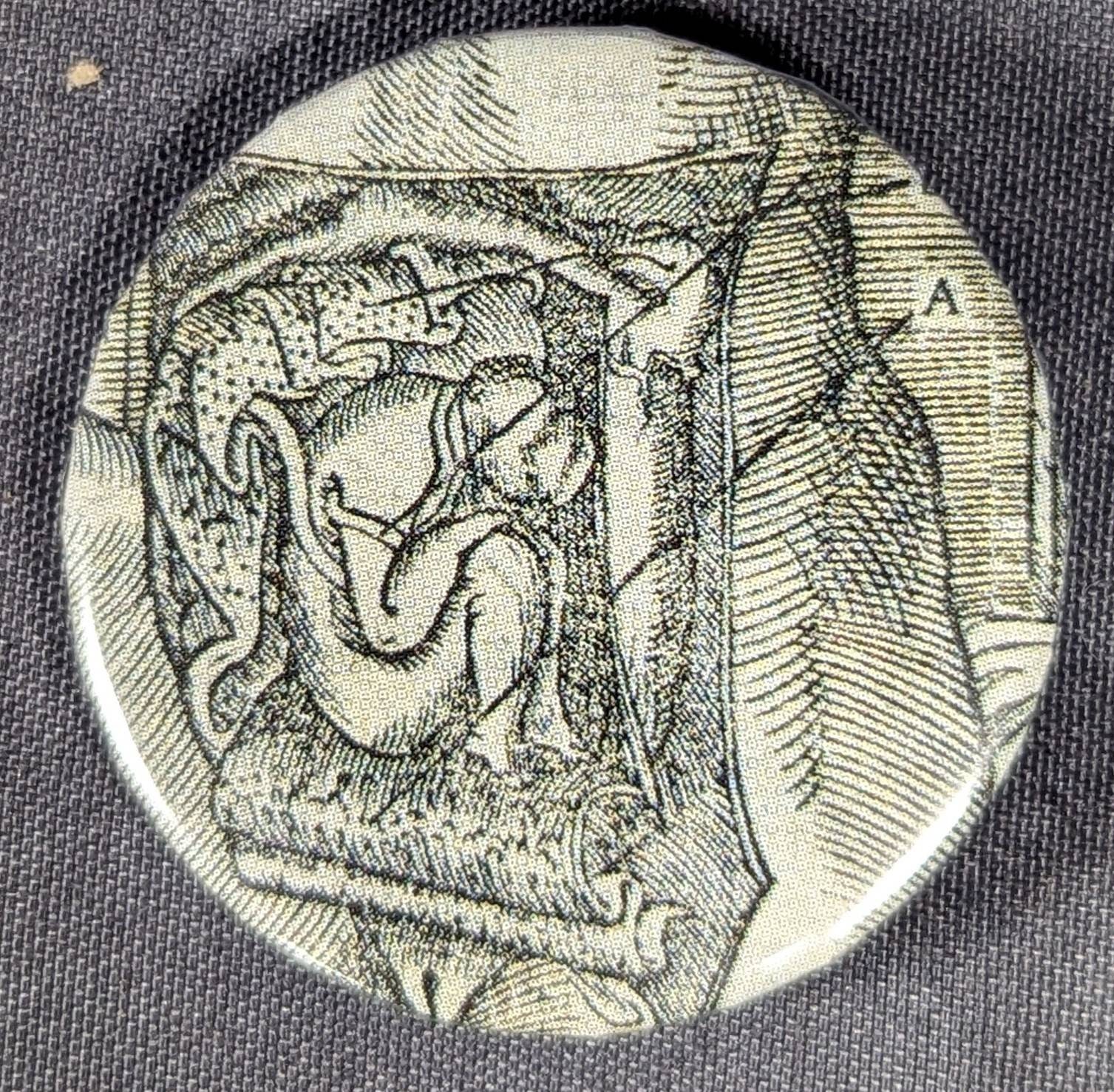 1.25" Anatomy Button - Etsy