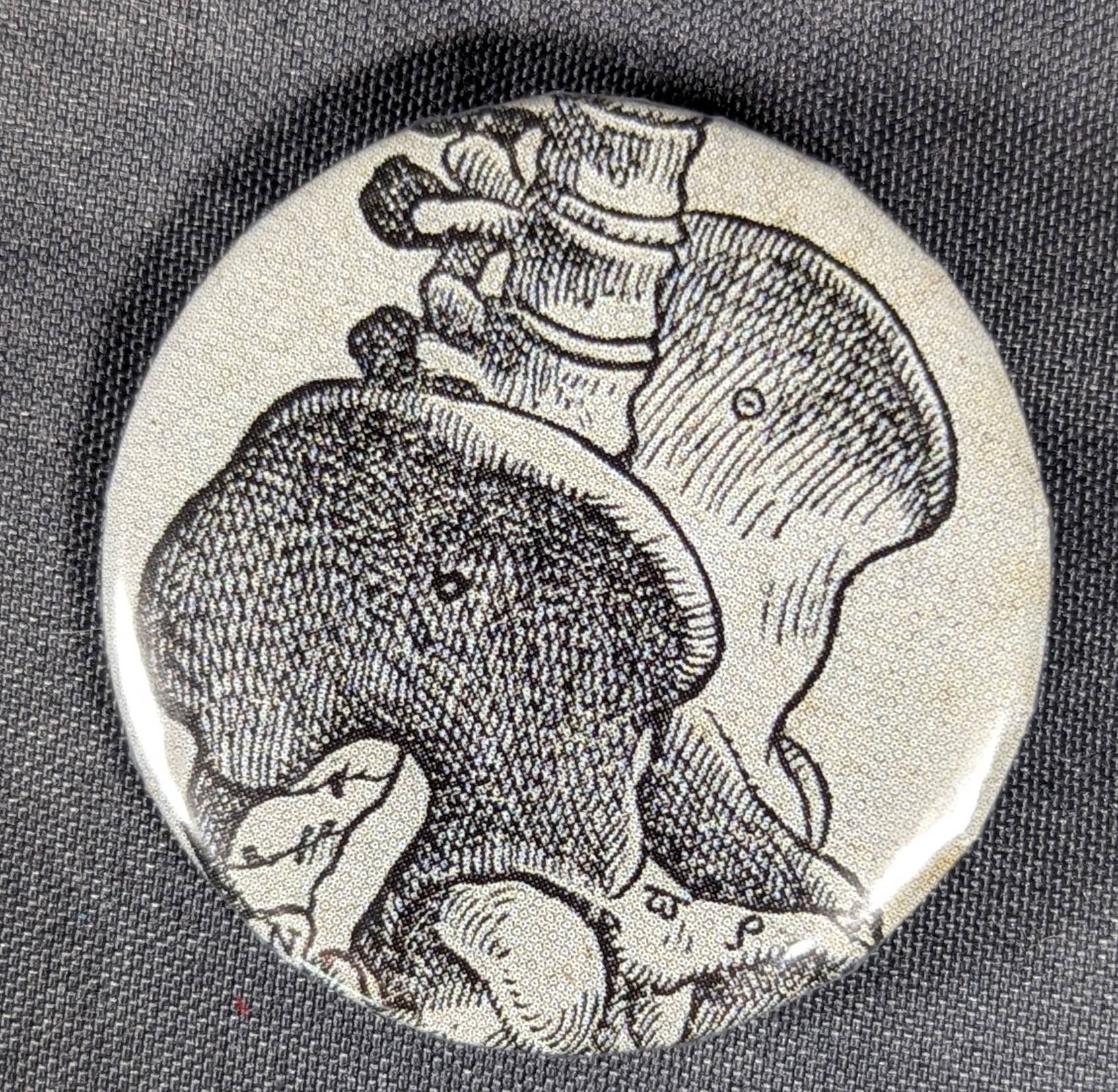 1.25" Anatomy Button - Etsy
