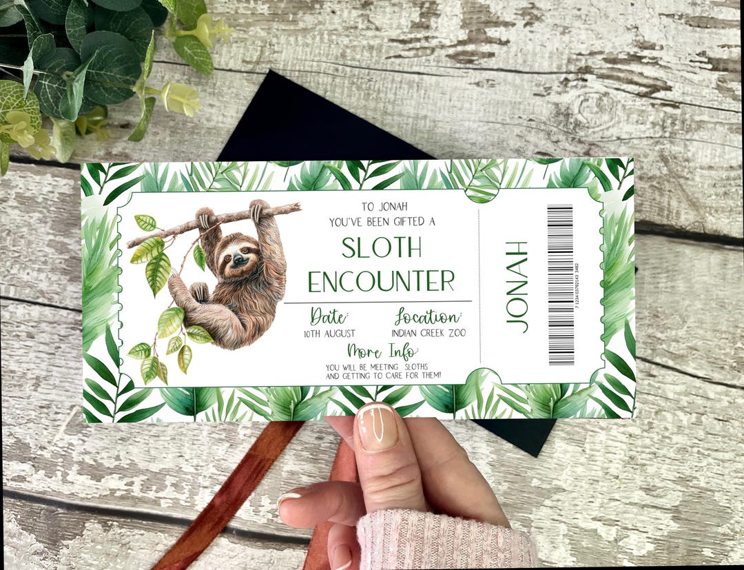 Sloth Experience Gift Voucher, Animal Feeding, Zoo Voucher, Sloth ...