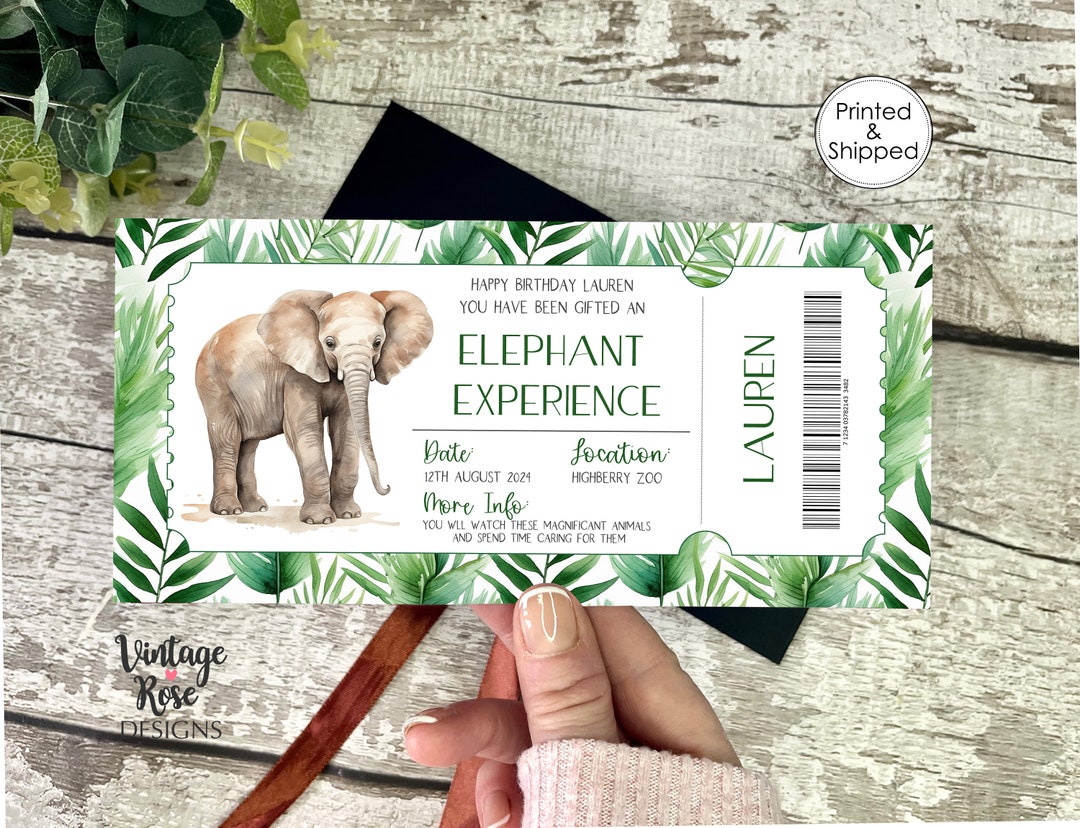 Elephant Encounter Gift Voucher, Animal Feeding, Zoo Voucher, Elephant ...