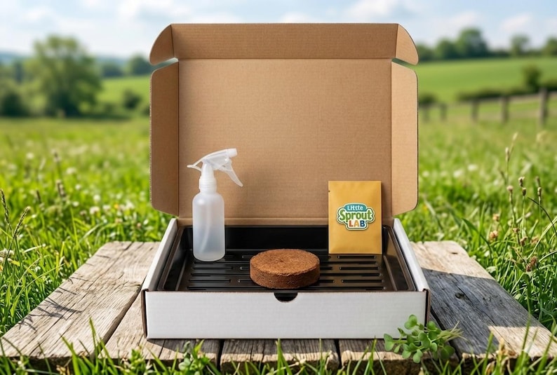 Kids Microgreens Growing Kit | STEM Gardening Activity for Kids | Grow ...