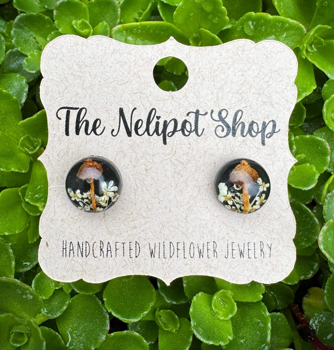 Real Mushroom Stud Earrings, Queen Anne’s Lace Flowers, Real Mushrooms ...