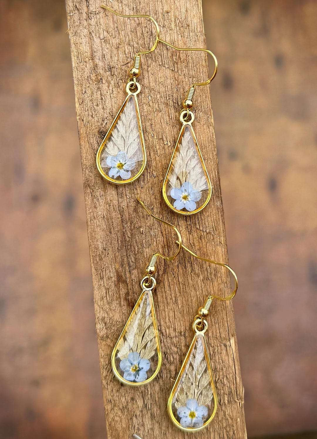 Real Forget-me-not and White Fern Earrings, Forget-me-nots, Pressed ...
