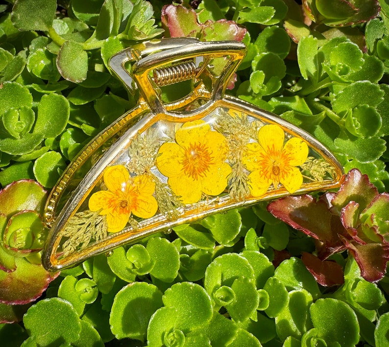 Real Flower Gold Hair Clip, Pressed Flowers, Buttercups, Resin Hair ...