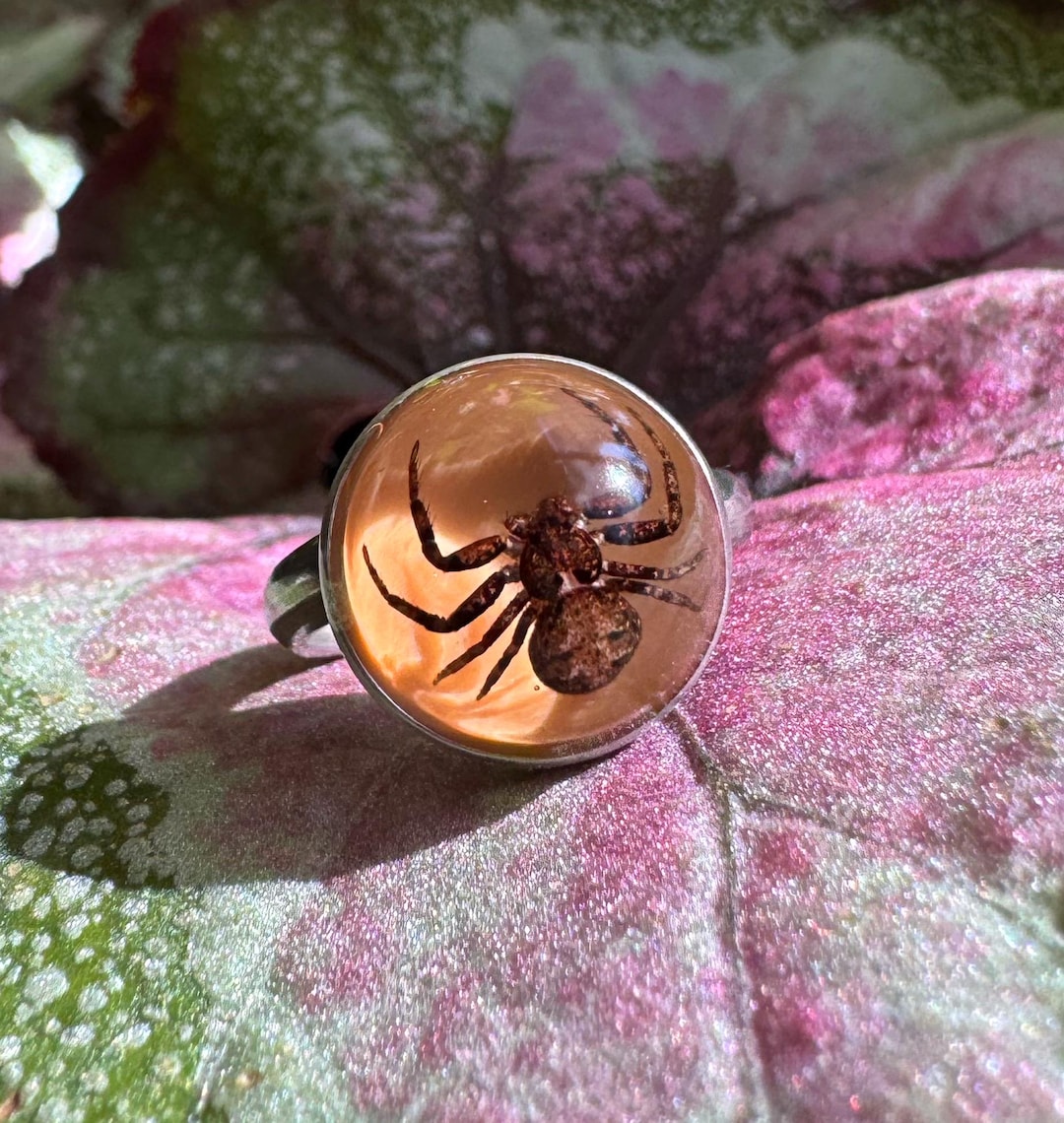 Real Crab Spider Adjustable Ring, Preserved, Spider Jewelry, Oddities ...