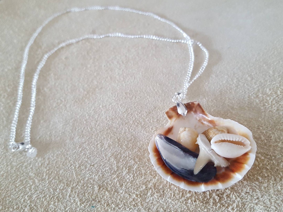 Shell Necklace With Shark Tooth and Shells - Etsy