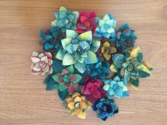 DIY Felt Hen and Chick Succulent Kit | Etsy