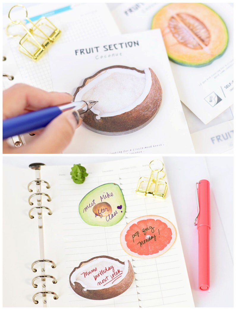 FRUITY SECTION avocado, Cantaloupe, Coconut, Grapefruit Sticky Notes - Etsy