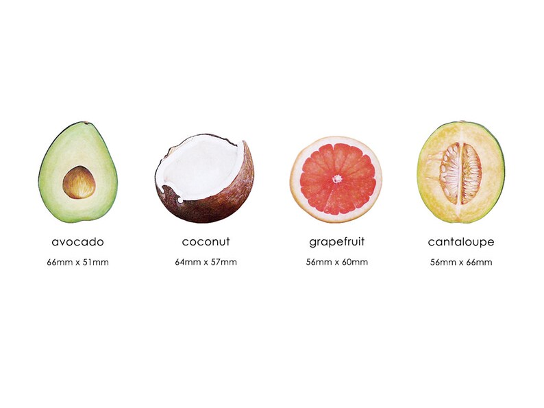 FRUITY SECTION avocado, Cantaloupe, Coconut, Grapefruit Sticky Notes - Etsy