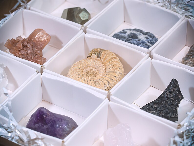 Rock Collection Gift Set | Assortment of Natural Fossils, Crystals ...