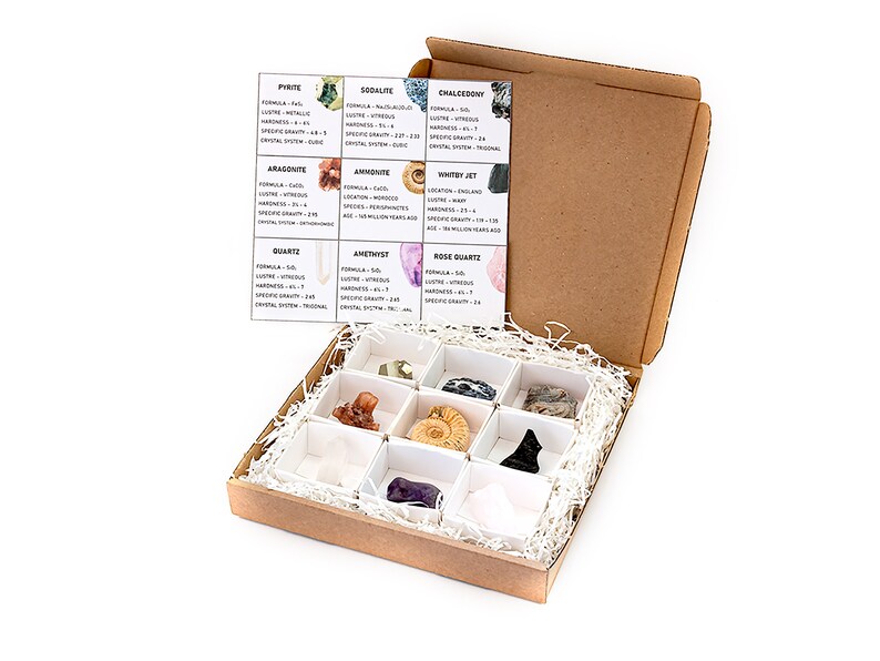 Rock Collection Gift Set | Assortment of Natural Fossils, Crystals ...