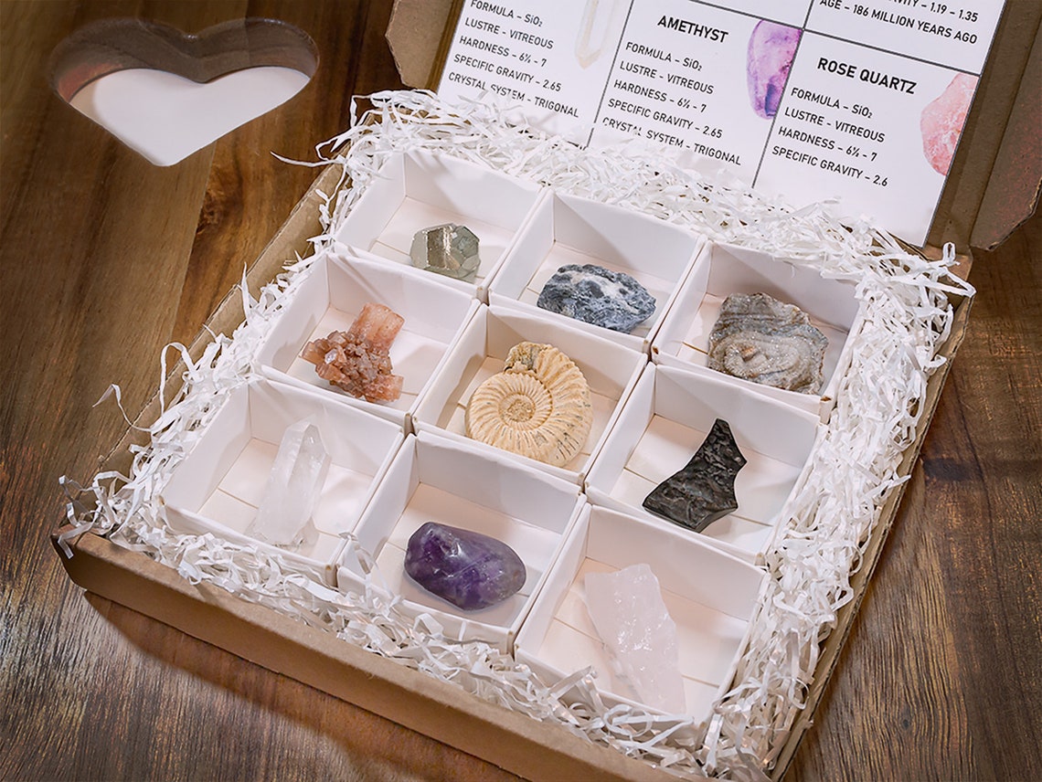 Rock Collection Gift Set | Assortment of Natural Fossils, Crystals ...