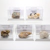 Rock Collection Gift Set | Assortment of Natural Fossils, Crystals ...