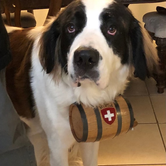 Saint Bernard Barrel Collars