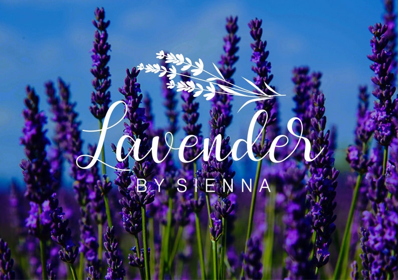 Lavender Logo, Flower Logo, Premade Logo, Event Logo, Lavender Logo ...