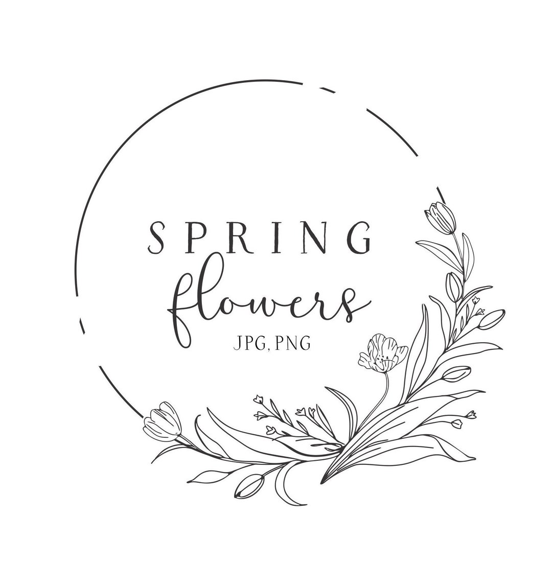 Spring Flowers Clipart, Floral Line Art, Botanical Clipart Design, PNG ...