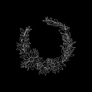 Daisies Wreath, Daisy Hand Drawing Illustration, Botanical Clipart ...