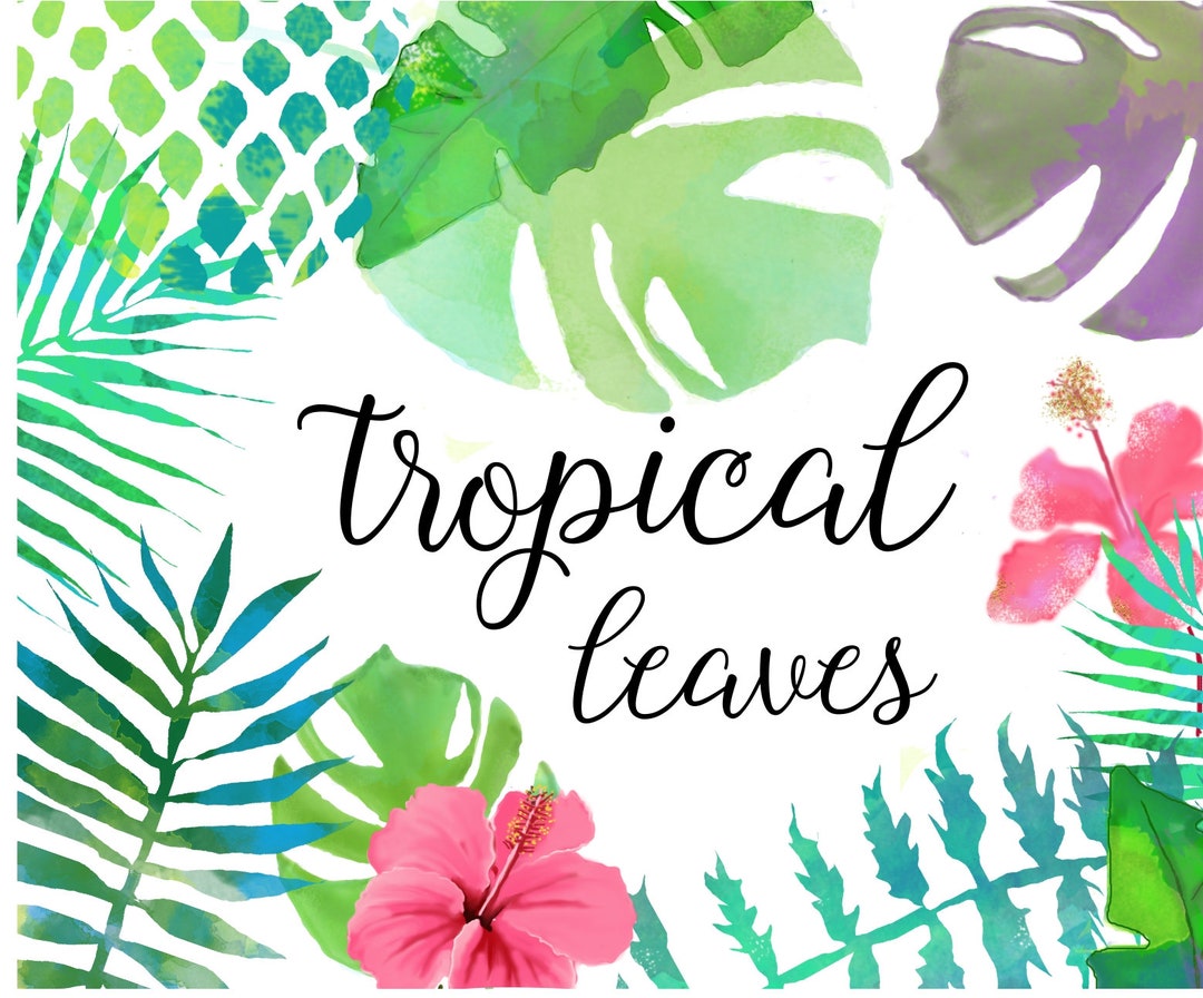 Tropical Leaves Clip Art, Tropical Flowers, Pineapple, Flowers, Leaf ...