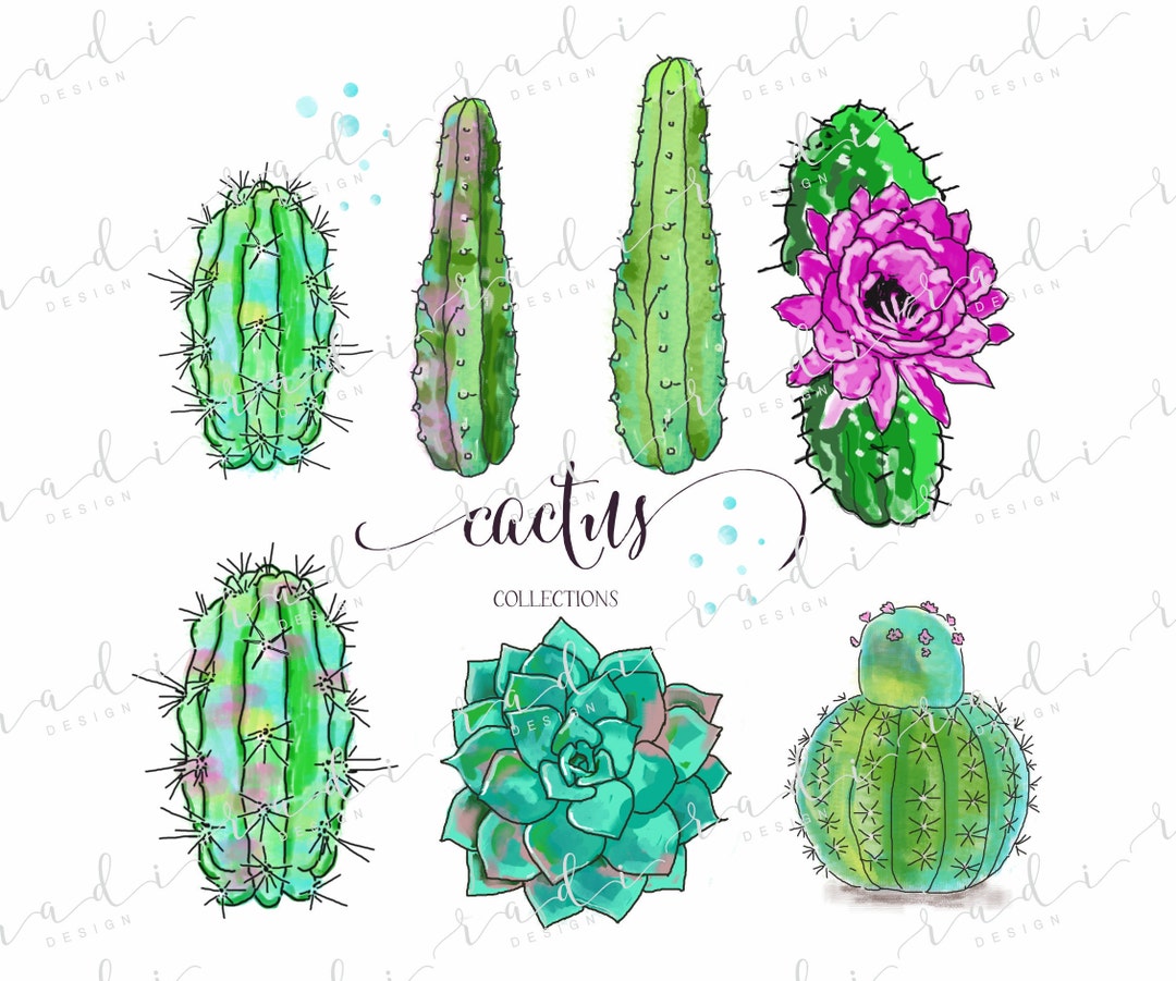 Cactus Clipart, Cactus Clip Art, Cactus PNG, Cactus JPG, Succulent ...