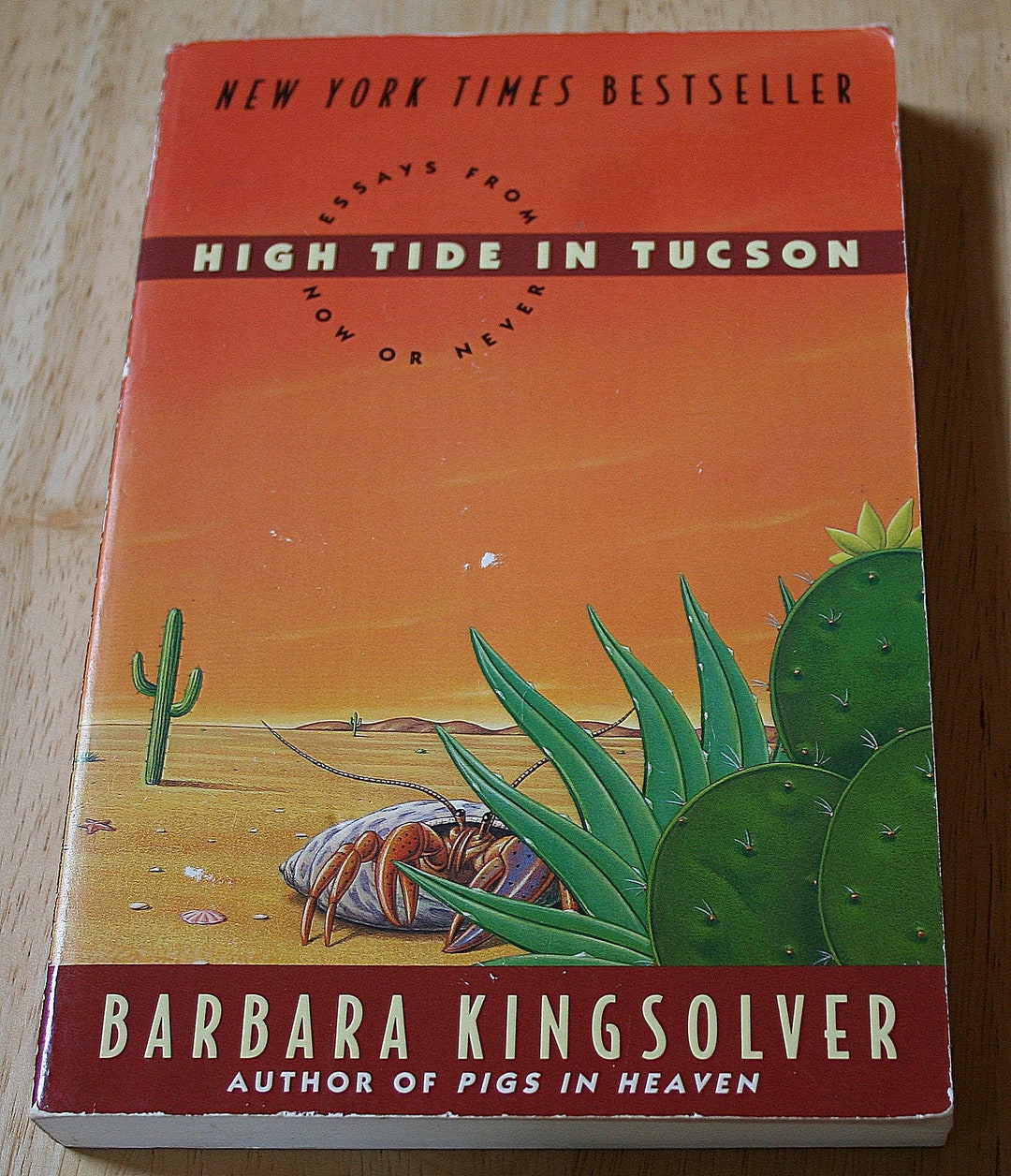 High Tide in Tucson by Barbara Kingsolver--harper Perennial 1996 ...