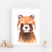 Baby Red Panda Cub Nursery Wall Decor Baby Animal Poster - Etsy