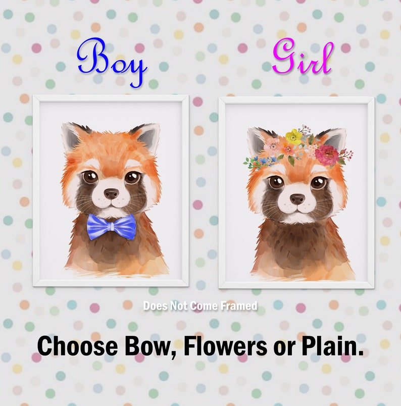 Baby Red Panda Cub Nursery Wall Decor Baby Animal Poster - Etsy