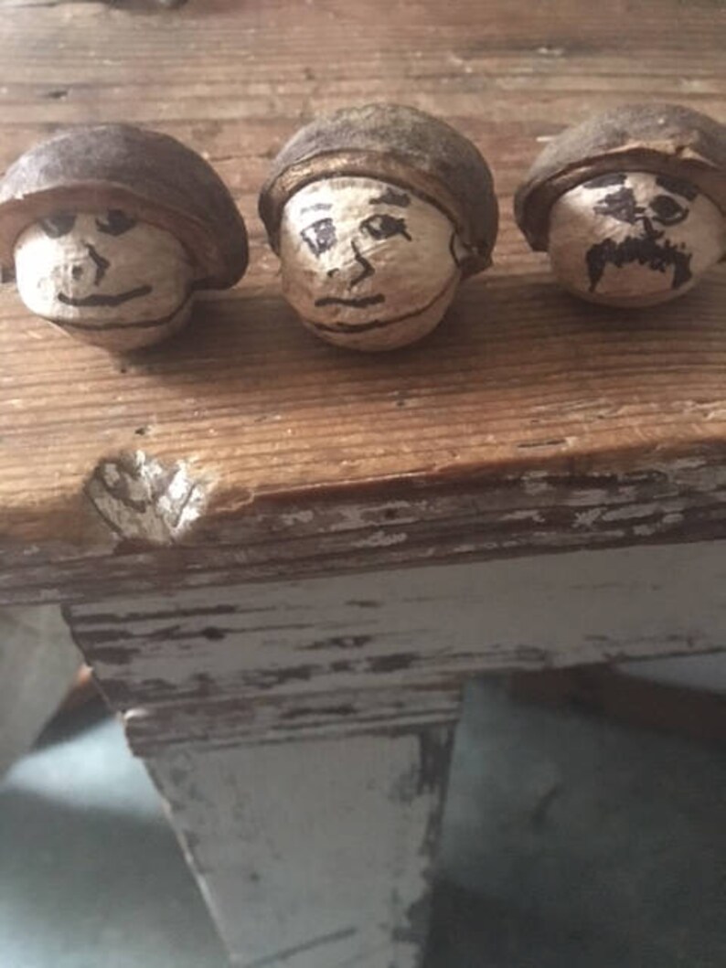 Hickory Nuts Whole, Rustic Vase Fillers, Craft/decorating Material - Etsy