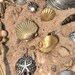 Sea Shell Assemblage Inspiration Collection, Assemblage Art, Assemblage ...