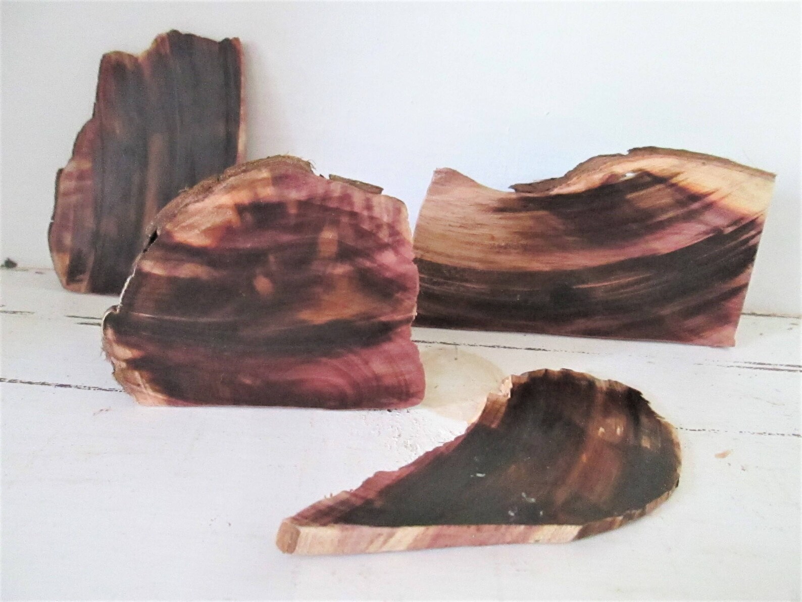 Cedar Art Wood Slices, Assemblage Art Supplies, Nature Art - Etsy