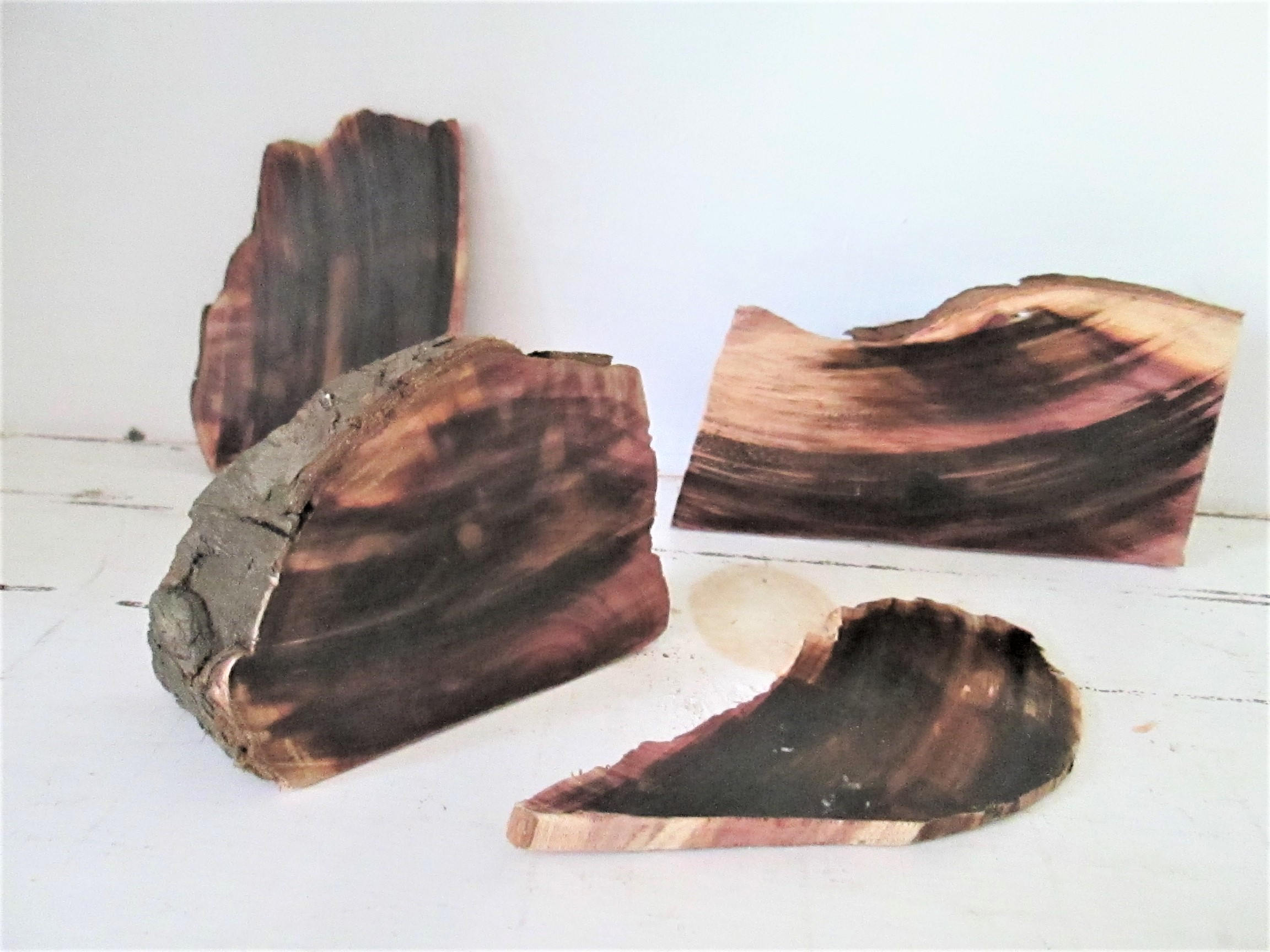 Cedar Art Wood Slices, Assemblage Art Supplies, Nature Art - Etsy