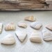 Natural Tumbled Sea Shell Fragments for Assemblage Art - Etsy